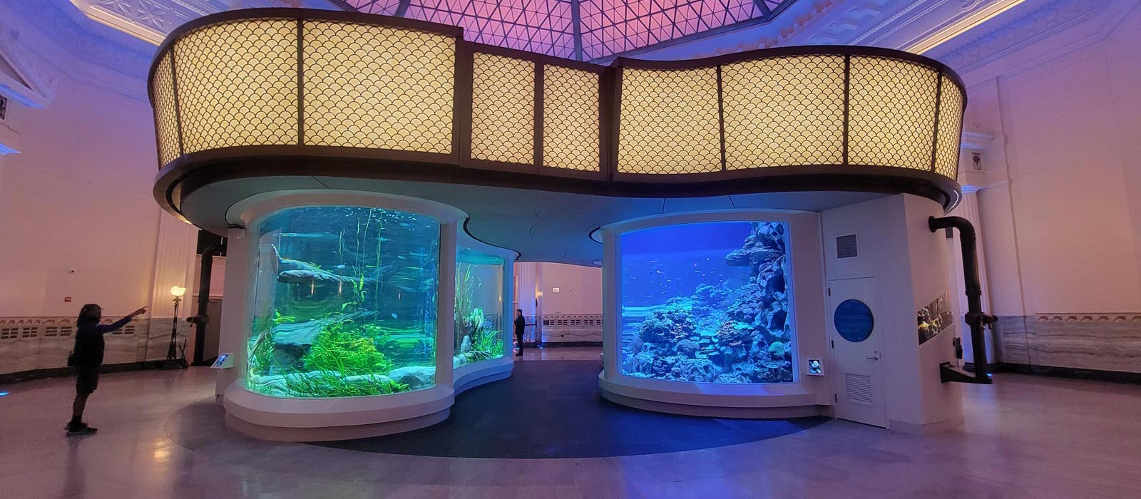 Bridgewater Studio | Museum Design | Shedd Aquarium